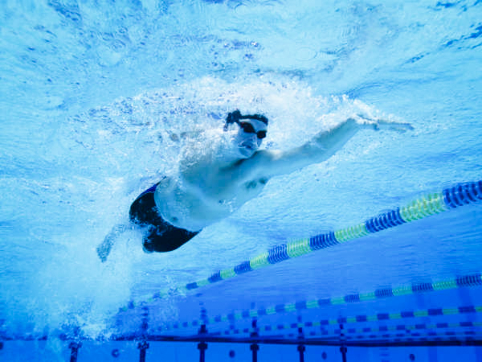 Learn to Swim - Level 1 (Adults) - Carleton Athletics: Community