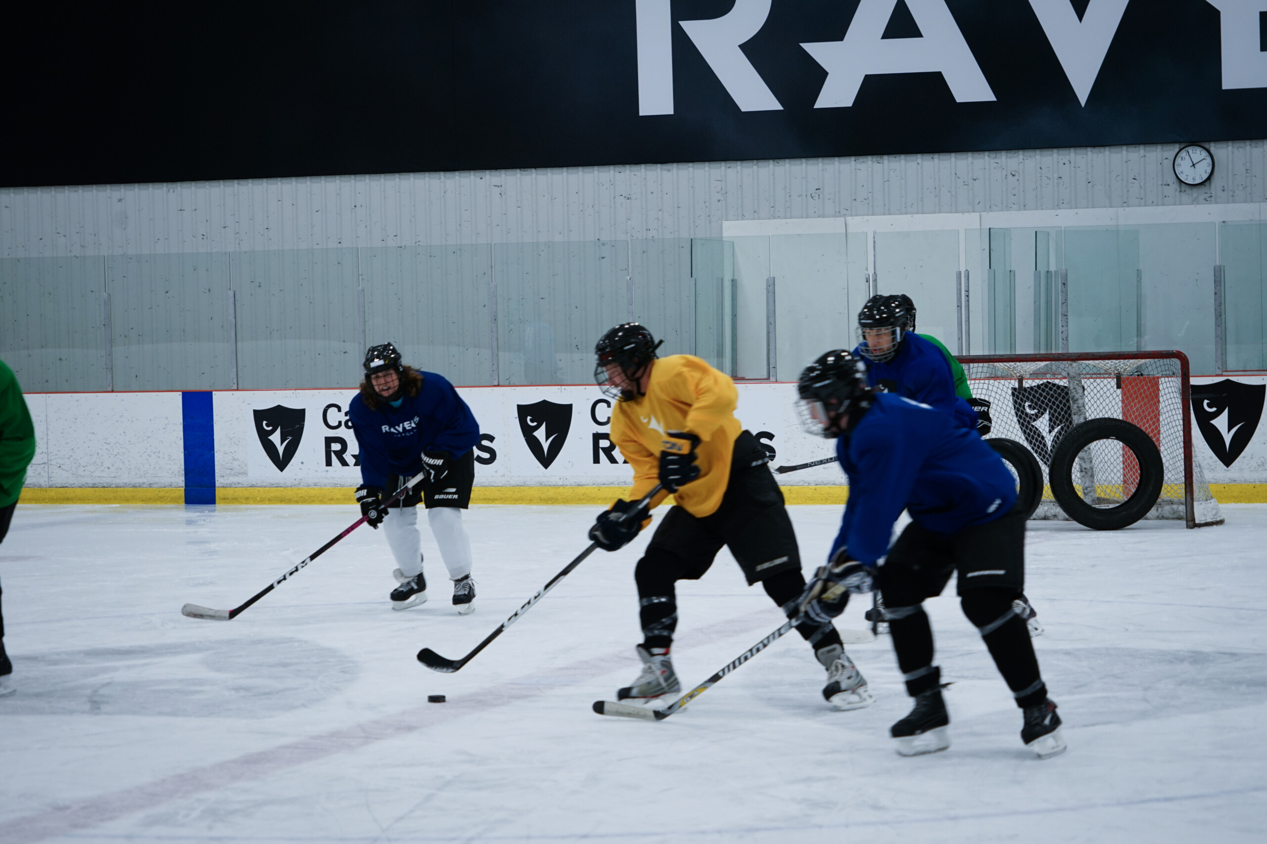 CAHL/CWAHL - Carleton Athletics: Community