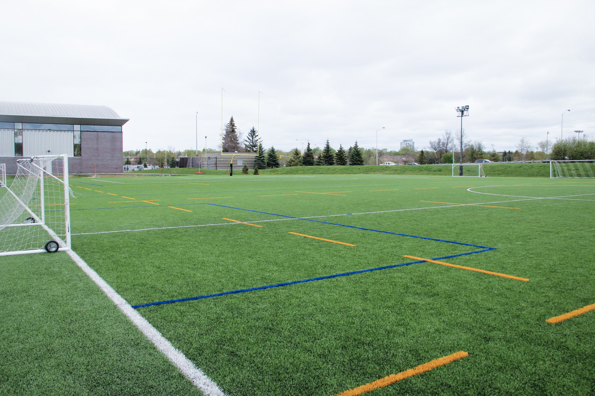 Turf Fields - Carleton Athletics: Community